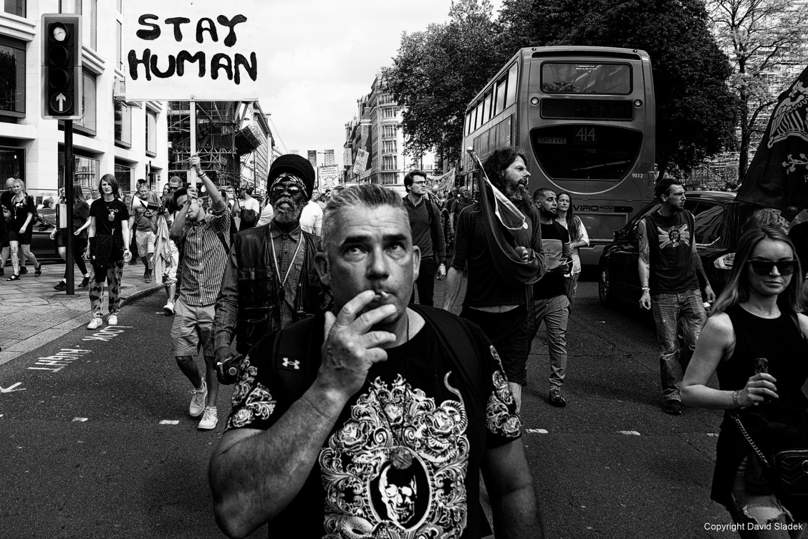 David Sladek | Stories