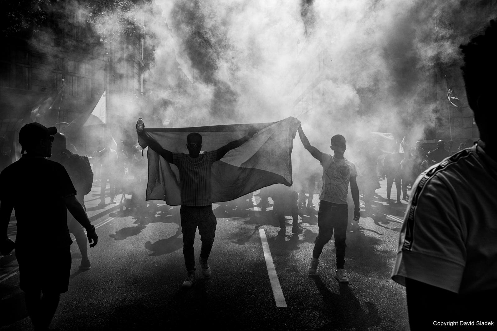 David Sladek | Stories