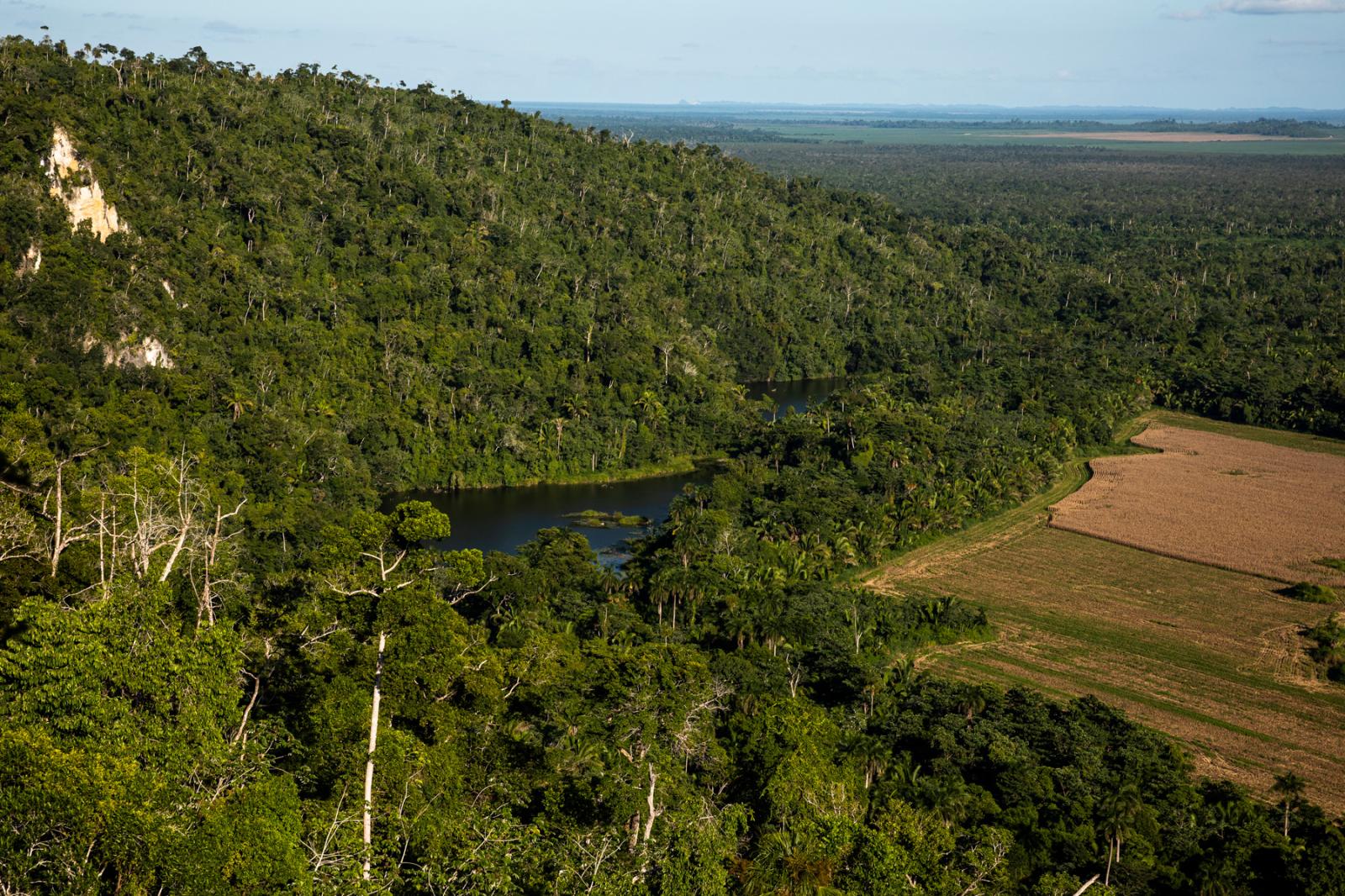Belize Maya Forest. The Nature Conservancy by Eva Lepiz