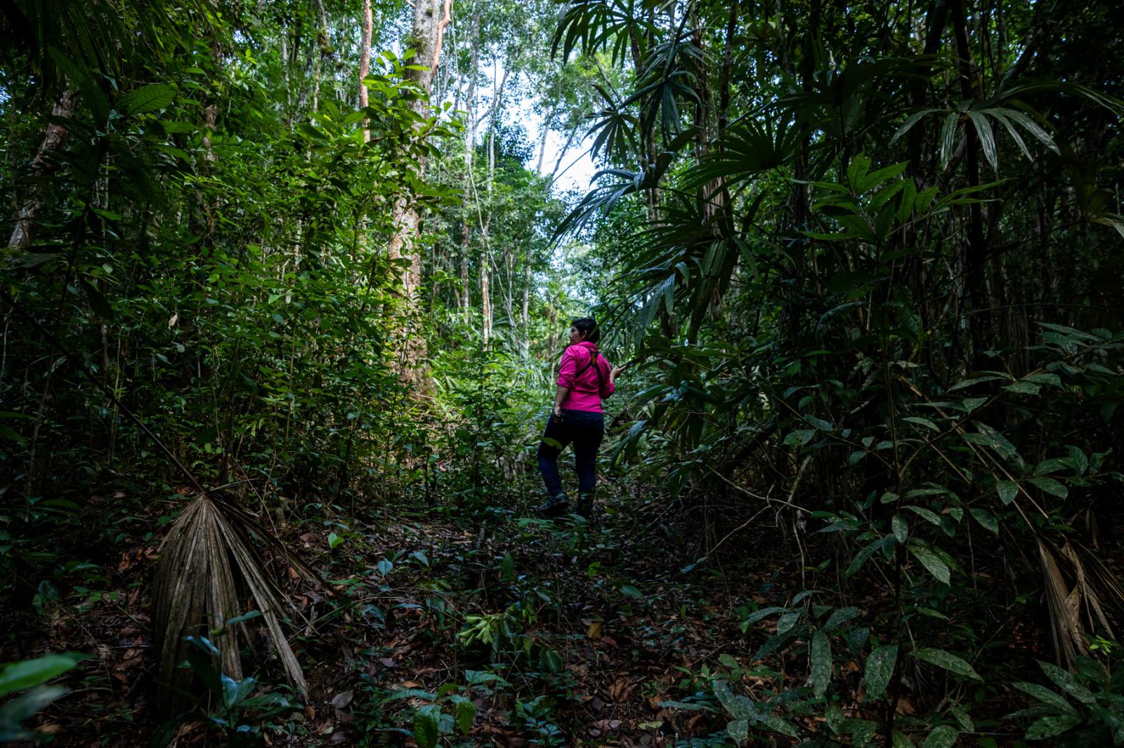 Belize Maya Forest. The Nature Conservancy by Eva Lepiz