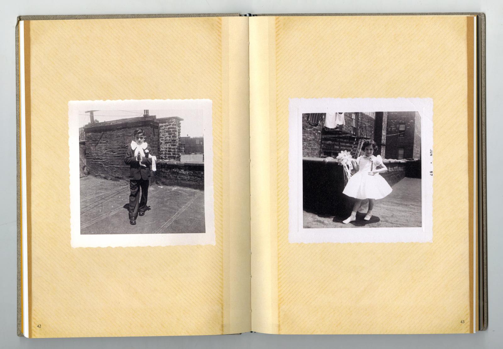 Tar Beach Book - Susan Meiselas
