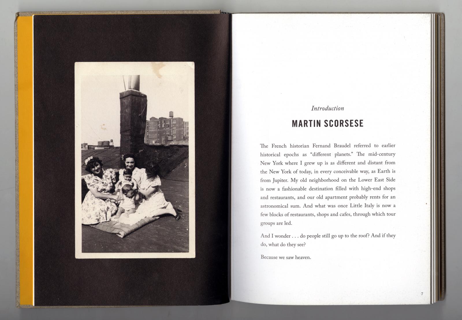 Tar Beach Book - Susan Meiselas