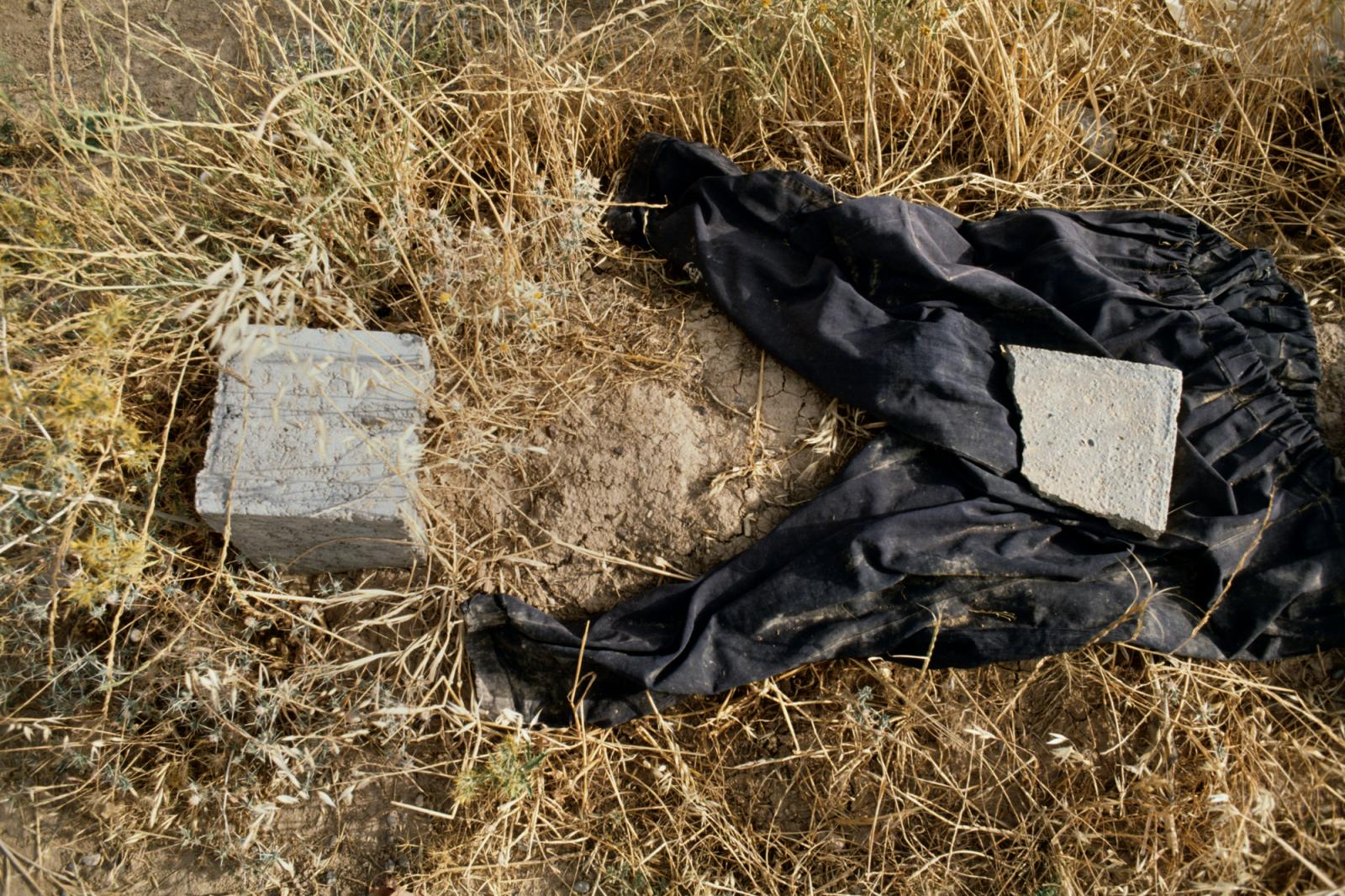 OVERVIEW - Susan Meiselas