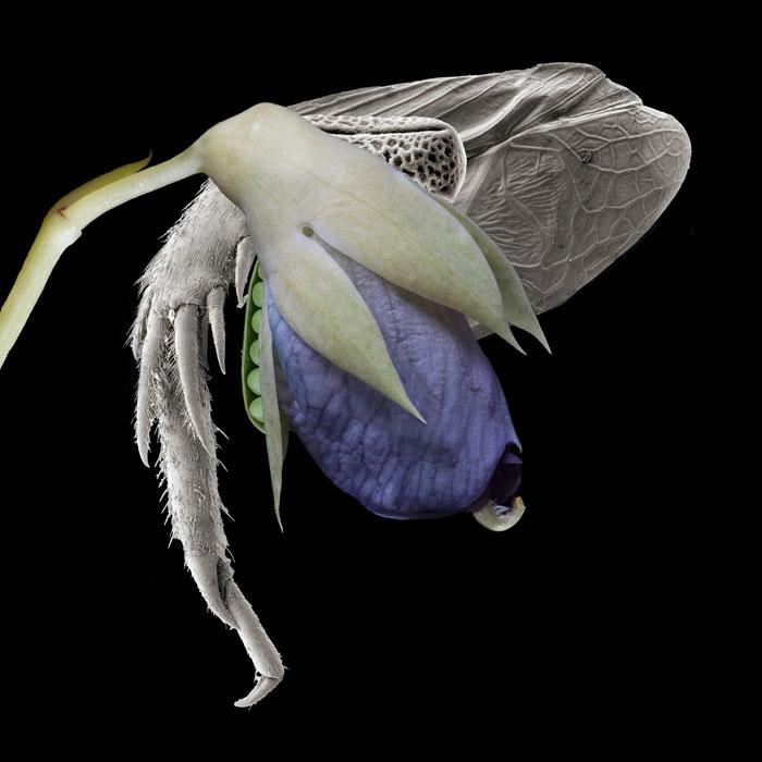 Robert Dash Photography