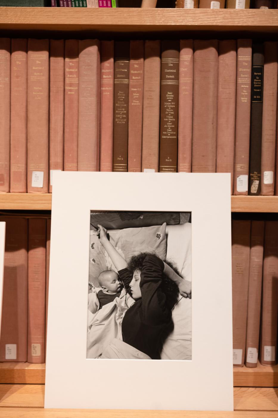 LIVING WITH THE ENEMY ARCHIVE CIRCS 1982-2024 - Donna Ferrato Photography