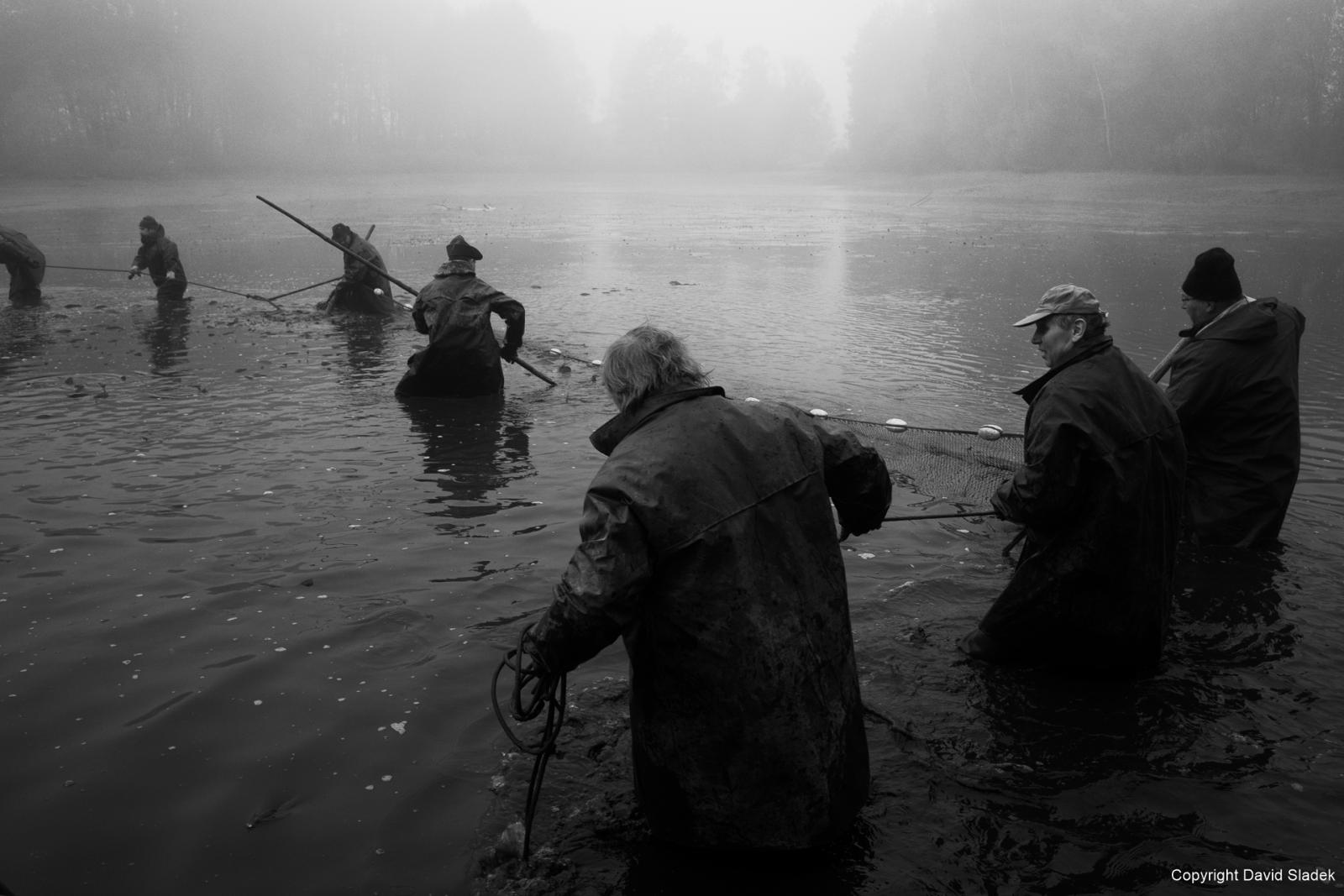 David Sladek | Stories