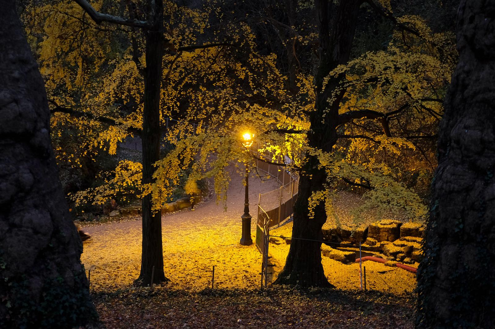 Parc des Buttes Chaumont by Remon Haazen