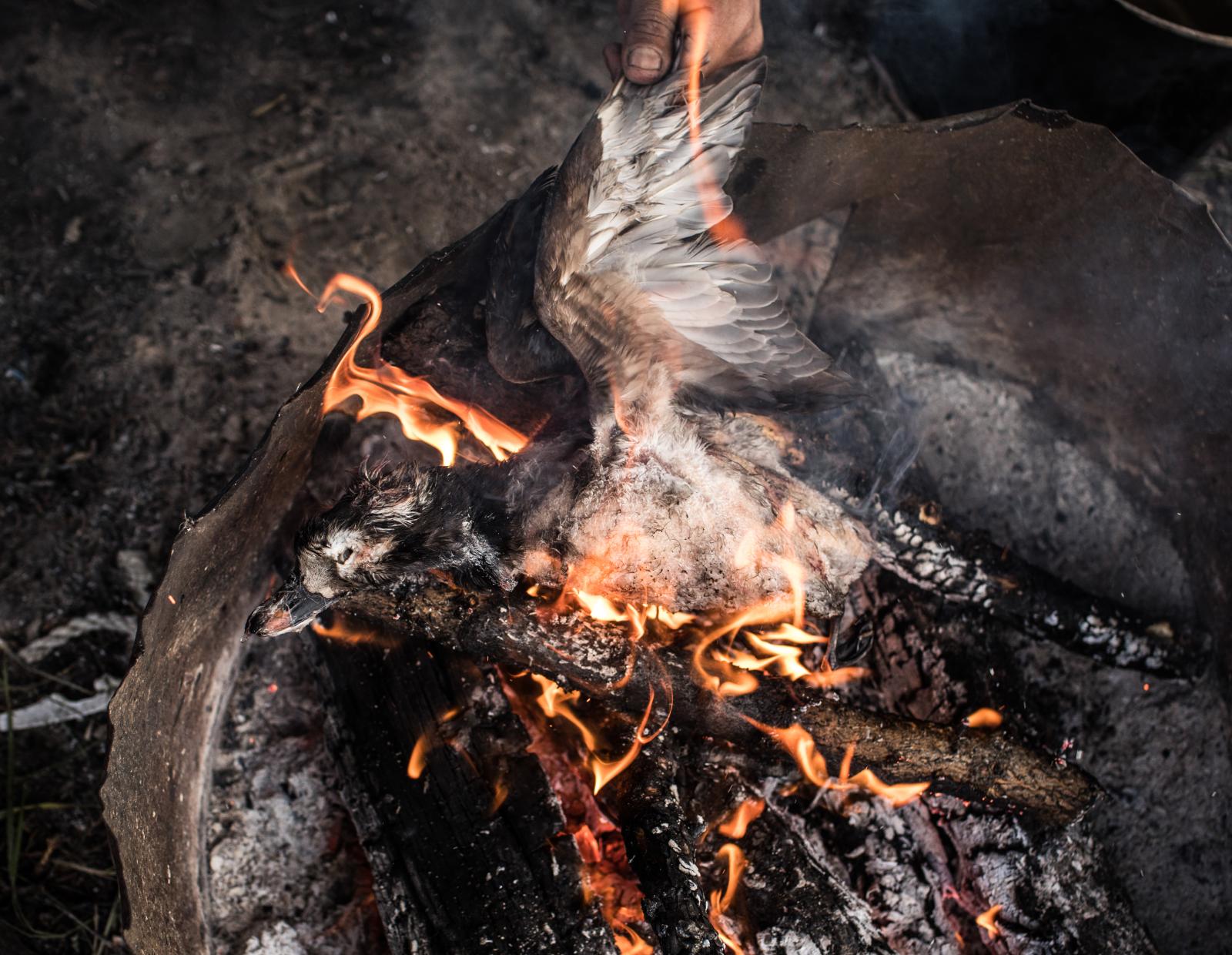 TO BECOME A PERSON - ASH ADAMS