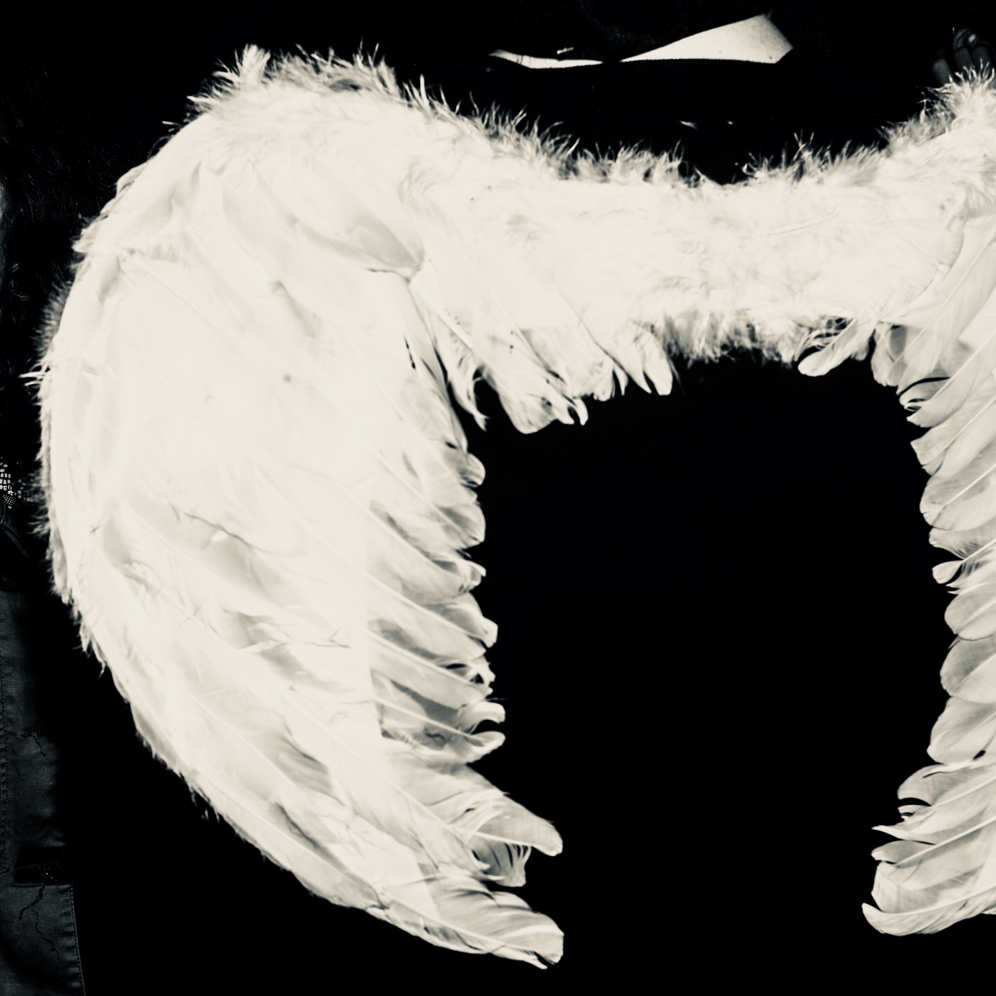 Yifan Huang | Catalog