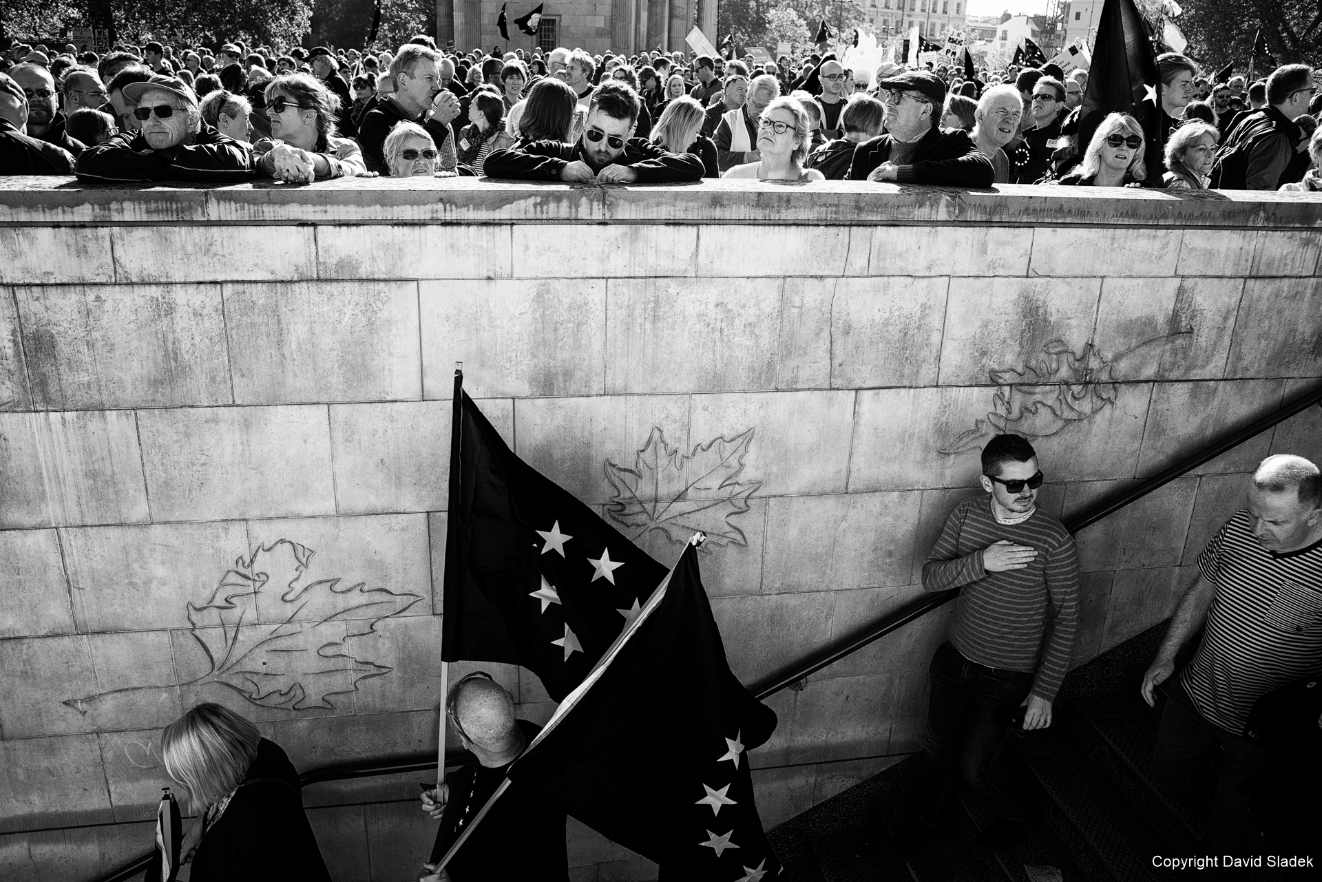 David Sladek | Stories