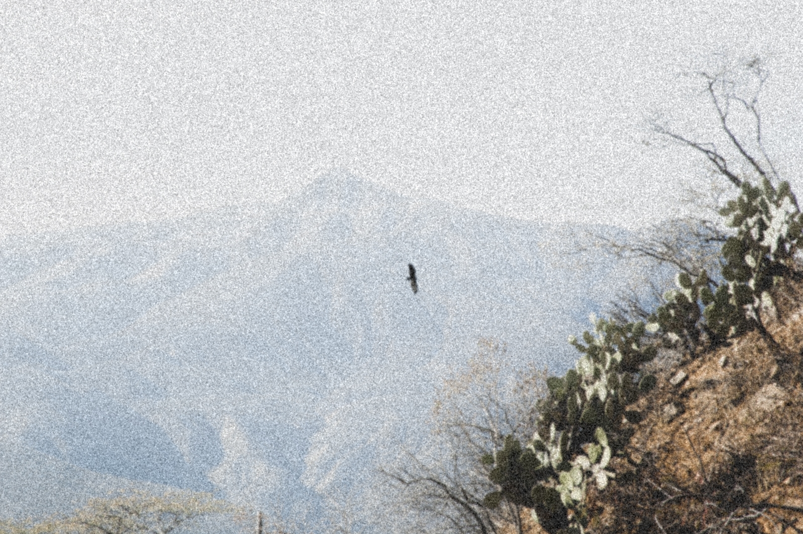 Matthias Koch | Catalog