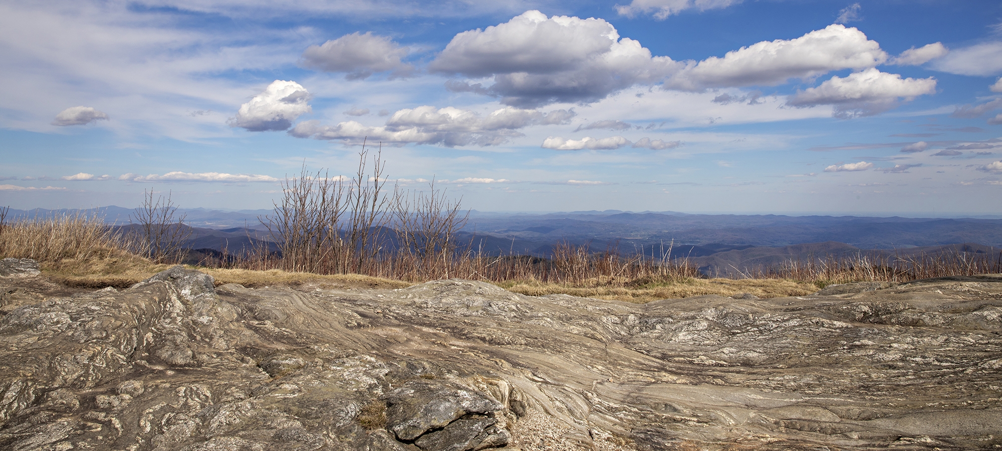 Katie Linsky Shaw | Catalog